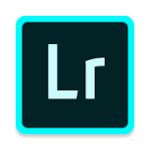 How To Use Lightroom Mobile to Edit Photos in 6 Steps - Org with Morg